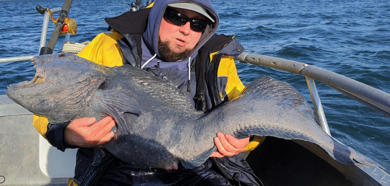 Tidenes beste steinbitfiske? / Normark Norway