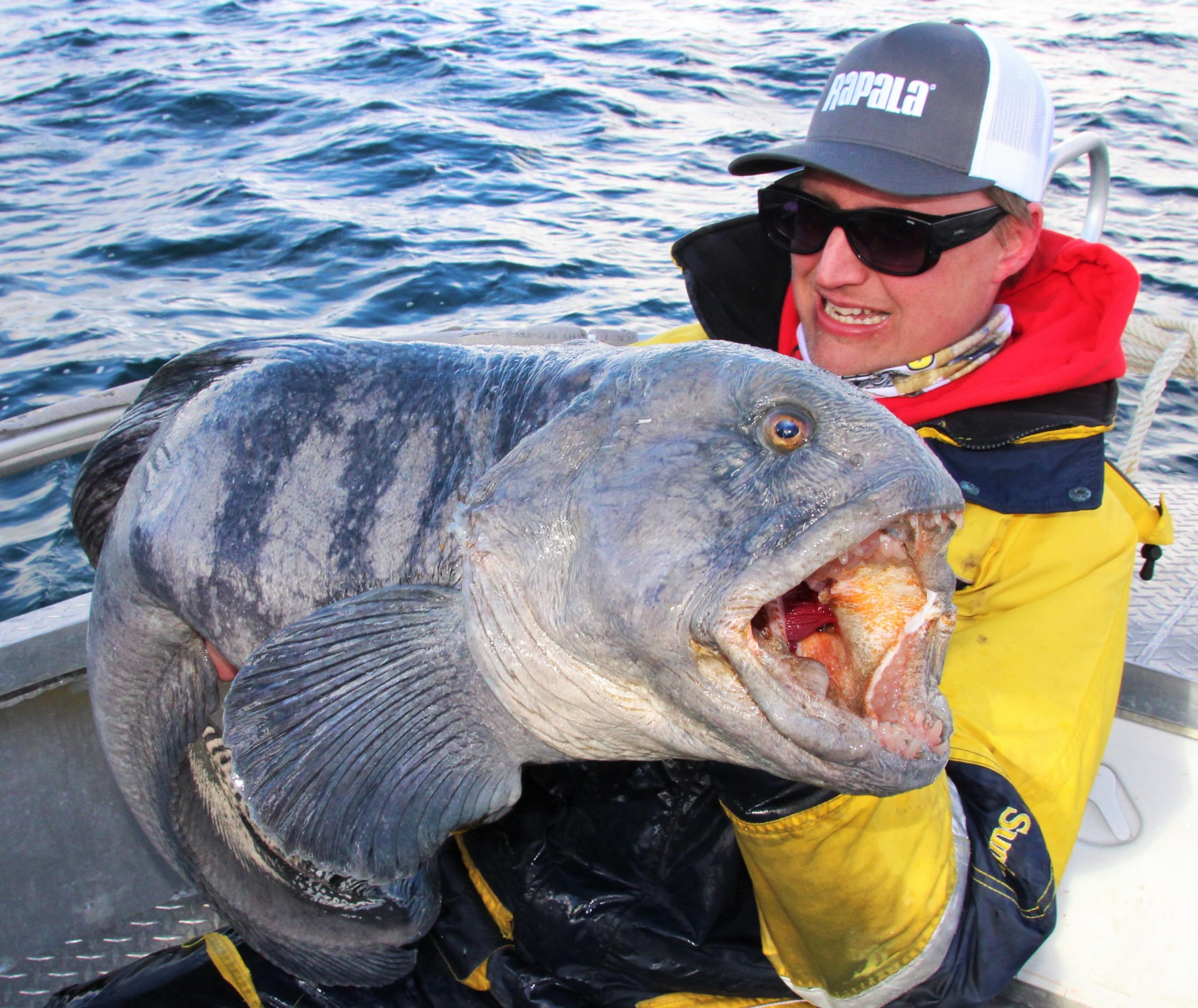 Tidenes beste steinbitfiske? / Normark Norway